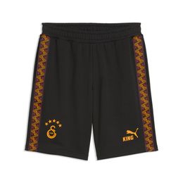 Puma Shorts 'Galatasaray S.K. KING' Herren Gr&ouml;&szlig;e XXL braun / schwarz