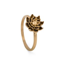 Akitsune Ring 'Lotus' Herren Gr&ouml;&szlig;e 52 gold