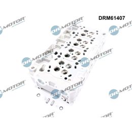 DR.MOTOR AUTOMOTIVE Zylinderkopf drm61407 f&uuml;r Iveco