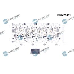 DR.MOTOR AUTOMOTIVE Zylinderkopf drm21411 f&uuml;r VW Audi