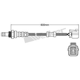 VEGAZ Lambdasonde uls654