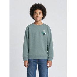 PETROL INDUSTRIES Lockeres Sweatshirt mit Print Ironbrook in Gr&uuml;n | Gr.: 104