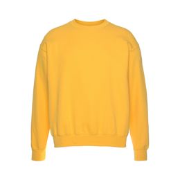 Fruit of the Loom Sweatshirt Herren Gr&ouml;&szlig;e XXL gelb