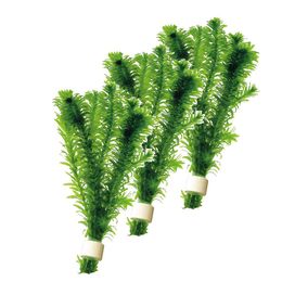 Aquafleur Elodea Densa in Terra Cotta Aquarienpflanze 3 St&uuml;ck