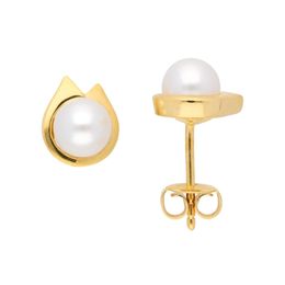 Adelia&acute;s Adelia ́s Ohrstecker Damen Gr&ouml;&szlig;e One Size gold