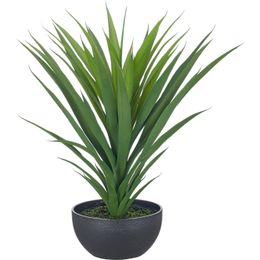 Kunstpflanze CREATIV GREEN, H:53cm, gr&uuml;n, Obermaterial: 100% Kunststoff, Kunstpflanzen, "Yucca filamentosa", mit naturgetreuem Blattwerk