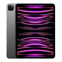 Apple iPad Pro 11 256GB [Wi-Fi, Modell 2022] space grau