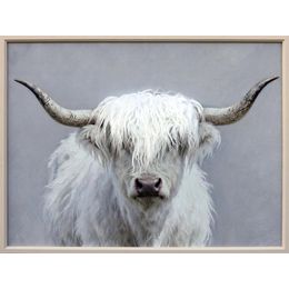 SONSTIGE Leinwandbild FLUFFY LONGHORN