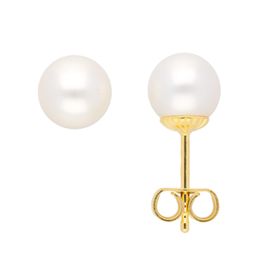 Adelia&acute;s Adelia ́s Earrings female size One size Gold / White