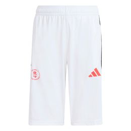 adidas Performance Workout Pants 'Lamine Yamal' boy size 116 Red / Black / White