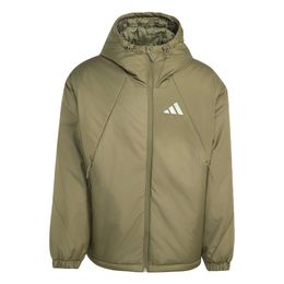 adidas terrex Outdoor jacket 'Multi' male size M Olive