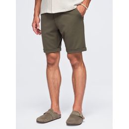 Ombre Chino Pants male size 33 Olive