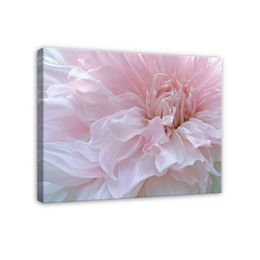 WALLARENA Leinwandbild Blumen in Rosa | Gr.: 40 x 30 cm
