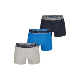 Phil & Co. Berlin Boxershorts Herren Gr&ouml;&szlig;e L blau / navy / graumeliert