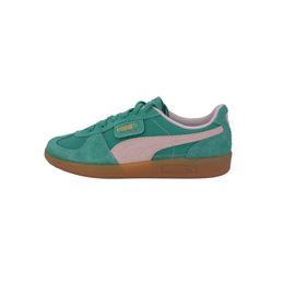 Puma Sneaker 'Palermo' Herren Gr&ouml;&szlig;e 42 kitt / gold / jade Sommerschuhe