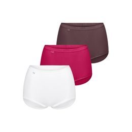 Sloggi Panty ' Originals Basic ' female size 5XL Brown / Auburn / Berry / White