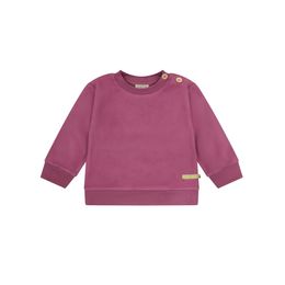 loud + proud Pullover M&auml;dchen Gr&ouml;&szlig;e 74/80 beere