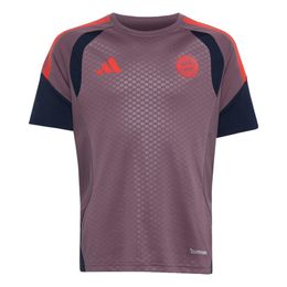 adidas Performance Performance Shirt 'FC Bayern M&uuml;nchen 26/27' boy size 116 Navy / Light purple / Red