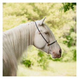 SUENO PETS 2 in 1 Halsring dunkelblau/beige VB