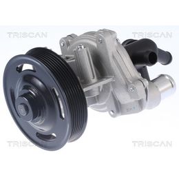 TRISCAN Wasserpumpe 860016071 f&uuml;r Ford