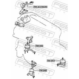 FEBEST Lagerung, Motor tm046 vorne f&uuml;r TOYOTA