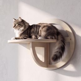 Kletterwand MCW-Q57, Katzenwandregal Katzenplattform Katzenwandm&ouml;bel Katzenstufe, Holz MVG 28x39x22cm ~ natur