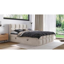 Xora Boxbett, Beige, Kunststoff, H3, H&ouml;he ca. 20 cm, 160x200 cm, Bettkasten, Stoffauswahl, Topper durchgehend, in verschiedenen Gr&ouml;&szlig;en erh&auml;ltlich, Box mit integrierter Matratze, Schlafzimmer, Betten, Doppelbetten