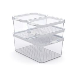 Rotho K&uuml;hlschrankbox Cauma, Wei&szlig;, Kunststoff, 18.7x19x28.4 cm, Reach, DIN EN ISO 14001, DIN EN ISO 9001, K&uuml;chenzubeh&ouml;r, Vorratsbeh&auml;lter, Frischhaltedosen