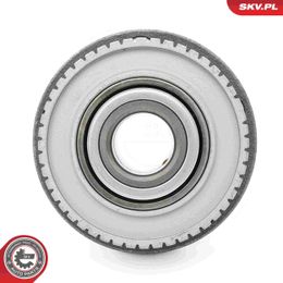 ESEN SKV Radlagersatz 29skv651 Vorderachse f&uuml;r Volvo