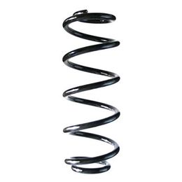SPIDAN Fahrwerksfeder 85557 Hinterachse f&uuml;r Fiat Suzuki