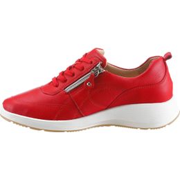 Waldl&auml;ufer Schn&uuml;rschuh