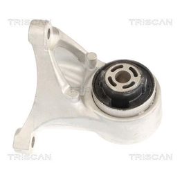 TRISCAN Lagerung, Motor 850581102 f&uuml;r Tesla