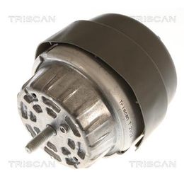 TRISCAN Lagerung, Motor 850529197 f&uuml;r Audi