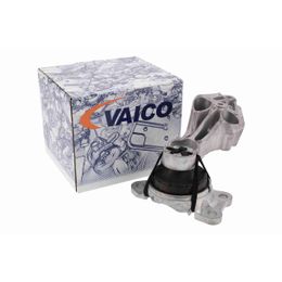 VAICO Lagerung, Motor v461962 rechts unten f&uuml;r RENAULT