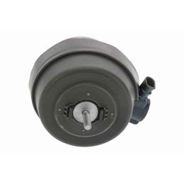 VAICO Lagerung, Motor v106769 beidseitig f&uuml;r VAG