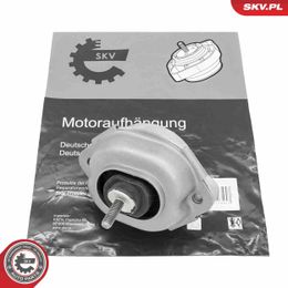 ESEN SKV Lagerung, Motor 75skv060 beidseitig f&uuml;r BMW