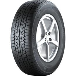 GISLAVED Winterreifen 255/50 R19 107V XL EVc - Euro*Frost 6 03435390000