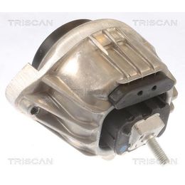 TRISCAN Lagerung, Motor 850511105 f&uuml;r BMW