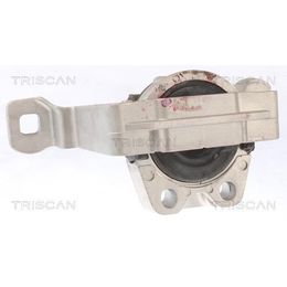 TRISCAN Lagerung, Motor 850510105 f&uuml;r Ford Volvo