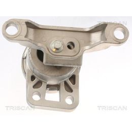 TRISCAN Lagerung, Motor 850510108 f&uuml;r Ford Volvo