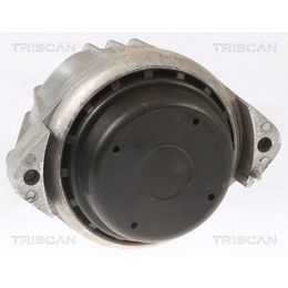 TRISCAN Lagerung, Motor 850511103 f&uuml;r BMW