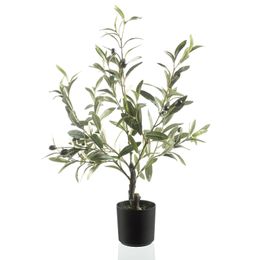 Casa Nova Kunstpflanze OLIVE
