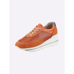 Gemini Sneaker