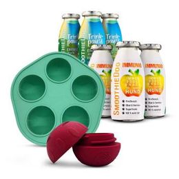 SmoothieDog Trinkpause (Ente) 3x 250 ml + Immunio (Rind) 3x 250 ml + Schleckball