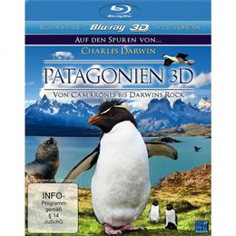 Patagonien - Auf den Spuren von Charles Darwin: Von Camarones bis Darwins Rock 3D