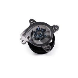 Hepu Wasserpumpe p7423 f&uuml;r RENAULT NISSAN