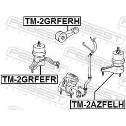 FEBEST Lagerung, Motor tm2grfefr vorne rechts f&uuml;r TOYOTA