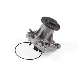 Hepu Wasserpumpe p1081 f&uuml;r Ford Opel JEEP ALFA ROMEO ROVER