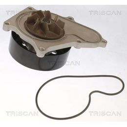 TRISCAN Wasserpumpe 860040023 f&uuml;r HONDA