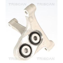 TRISCAN Lagerung, Motor 850581101 f&uuml;r Tesla